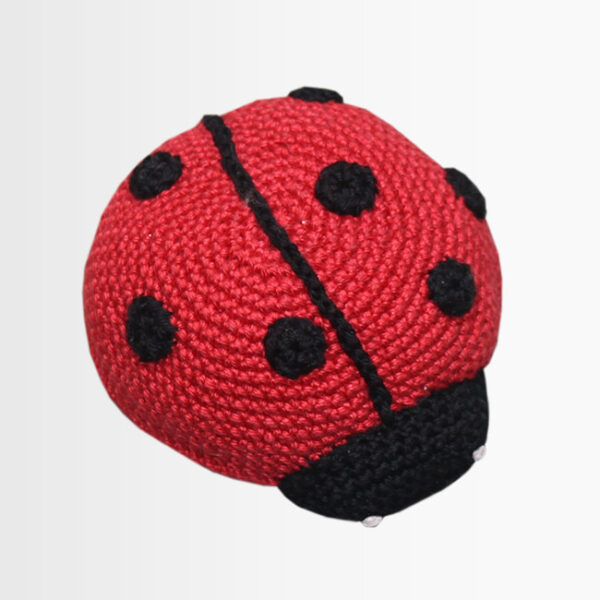 PIKAPOLONICA – Z darilom povej zgodbo